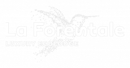 Softwares and Systems to Manage Hotel Reservations | Wubook